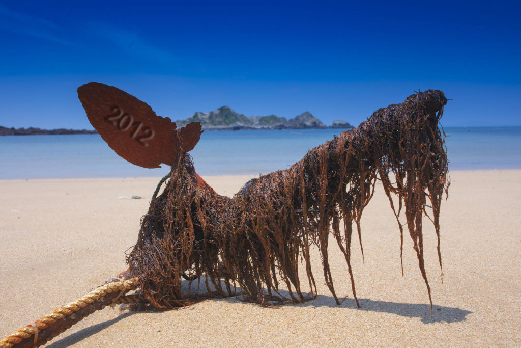 Anchor – Somewhere 2 eScape