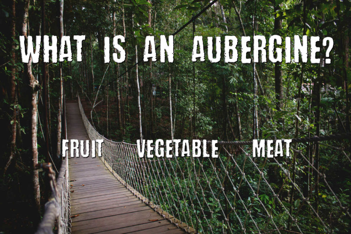 Bridge – Somewhere 2 eScape