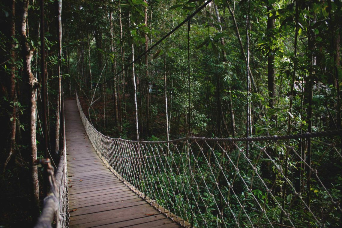 Bridge – Somewhere 2 eScape