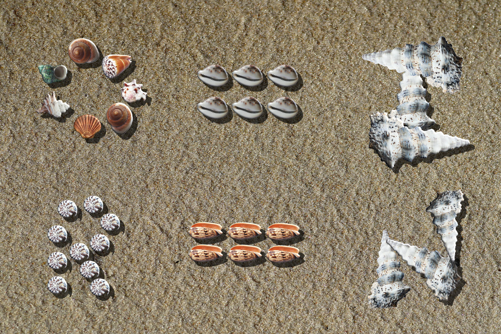 Shell – Somewhere 2 eScape