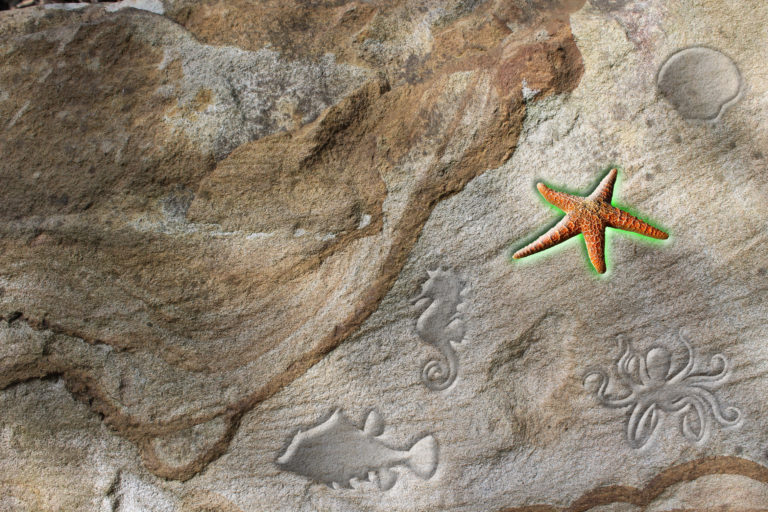 Cave – Somewhere 2 eScape